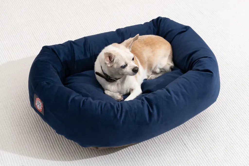 Innovative Smart Pet Beds Enhance Pet Wellbeing Through Advanced Monit ...
