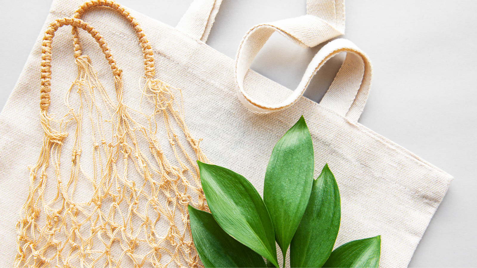 The Sustainable Textile Revolution: Key Material Innovations for FW26 ...